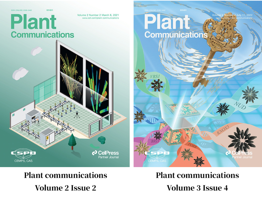 速！带你走进期刊封面的科学与艺术之美！ - 知乎