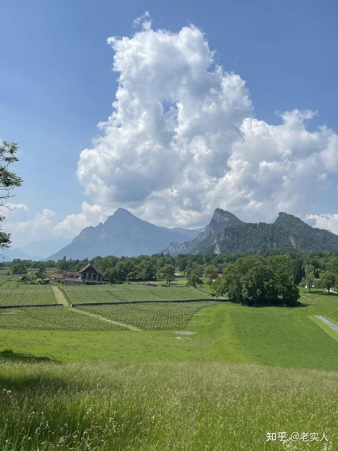 不变之变——后疫情时代的中国房地产市场 - 知乎