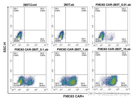 免疫细胞疗法｜关于CAR分子设计与慢病毒包装的应用知多少？ - 知乎