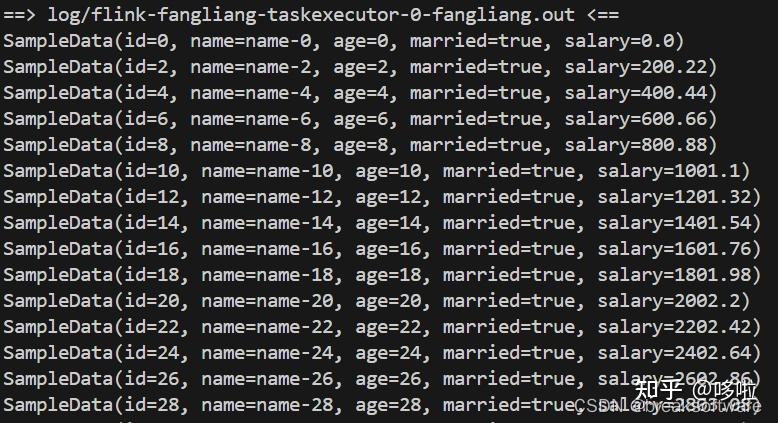 Java版Flink使用指南——定制RabbitMQ数据源的序列化器 - 知乎