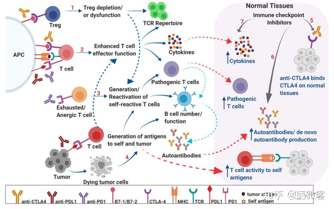 IrAEs的监测和诊断性标志物你了解多少？ - 知乎