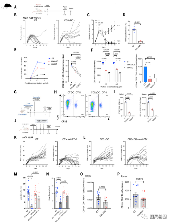 Science | 表达CD5的树突状细胞指导T细胞免疫并维持免疫治疗应答 - 知乎