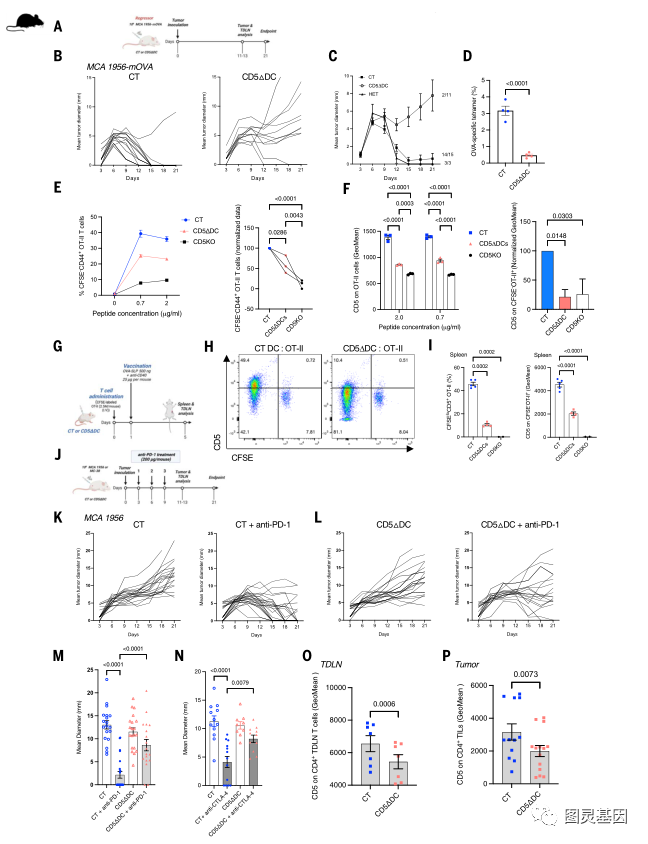 Science | 表达CD5的树突状细胞指导T细胞免疫并维持免疫治疗应答 - 知乎