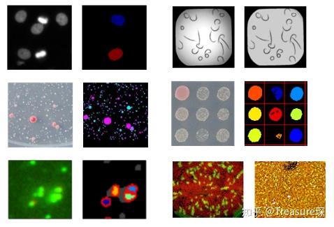 CellProfiler——下一代生物图像处理软件 - 知乎