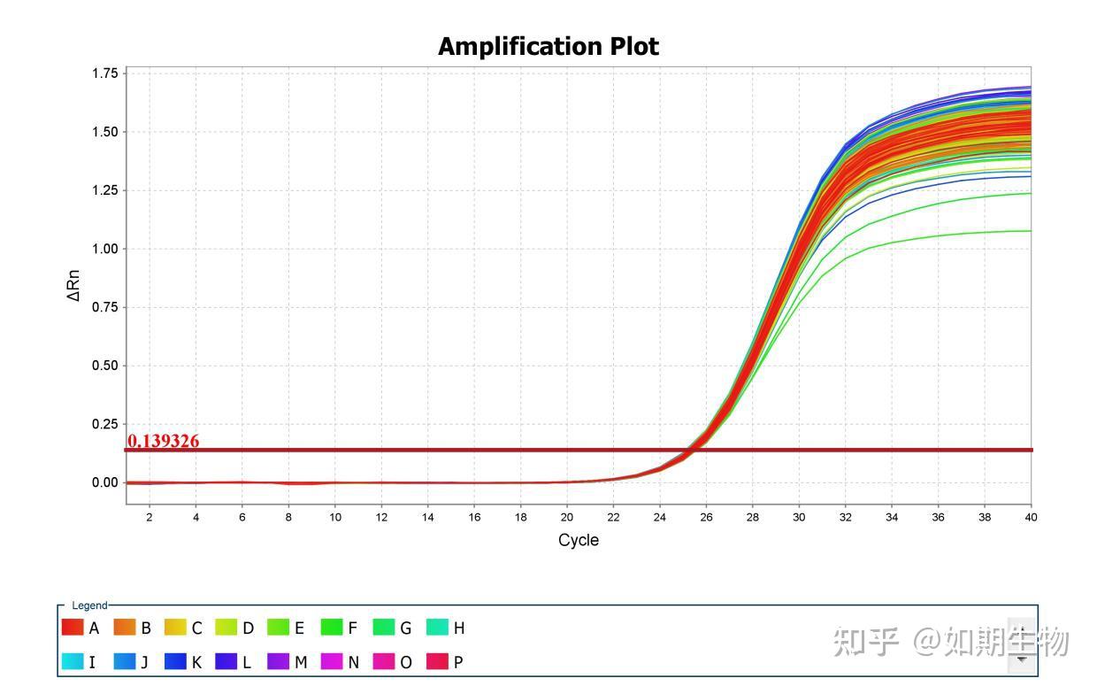 DNA聚合酶基因扩增QPCR实验 - 知乎