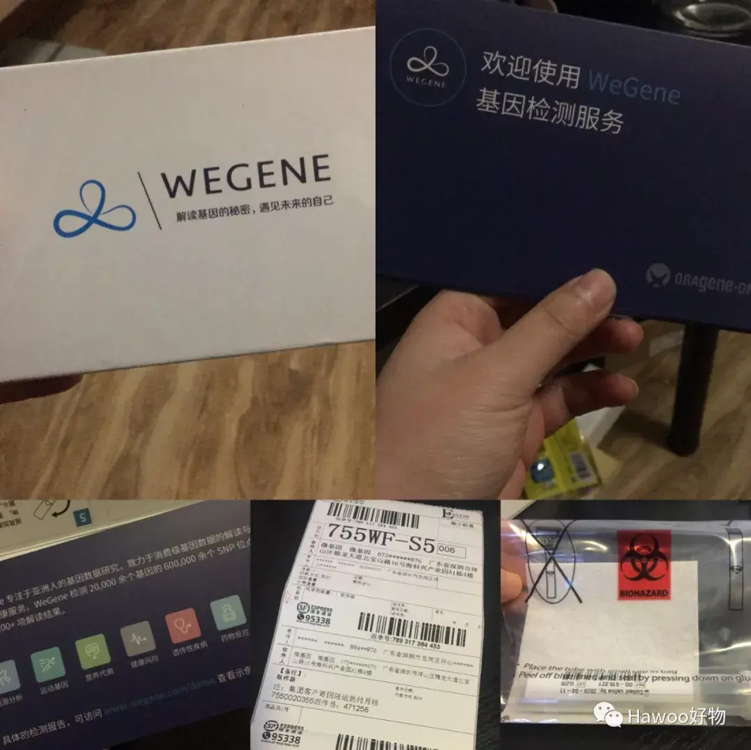 我的基因检测之旅（微基因wegene） - 知乎