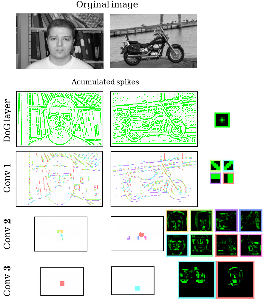 Stdp Based Spiking Deep Convolutional Neural Networks For Object Recognition 知乎