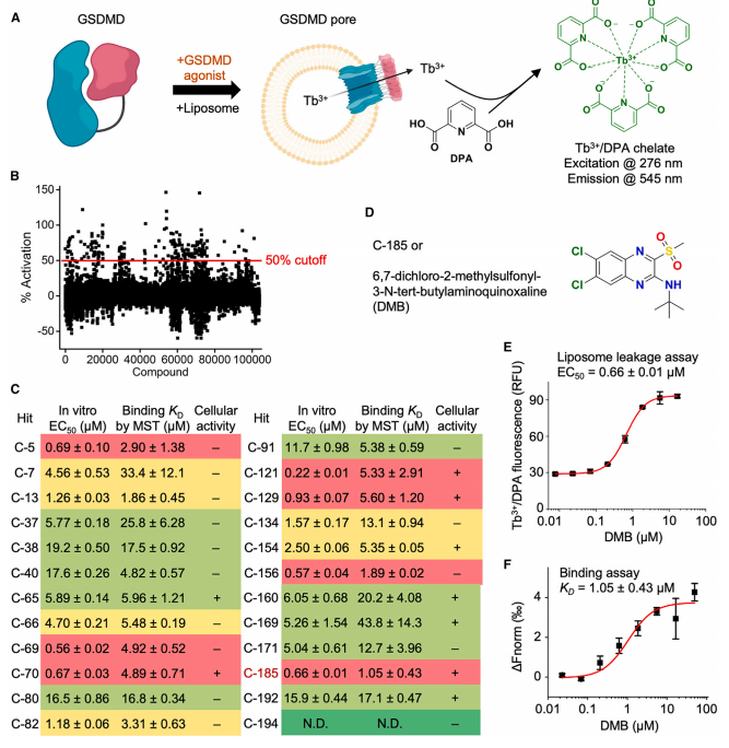 【Cell】GSDMD小分子激动剂发现-激活细胞焦亡治疗肿瘤 - 知乎