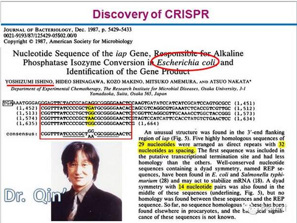 特别推荐丨CRISPR问鼎诺奖之英雄谱系列 - 知乎