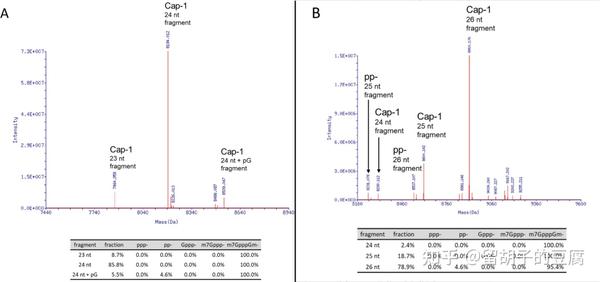 综述|mRNA加帽率测定方法研究进展 - 知乎