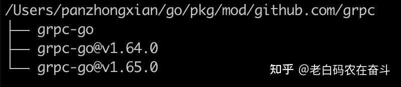 【Go】透彻理解包、模块 - 知乎