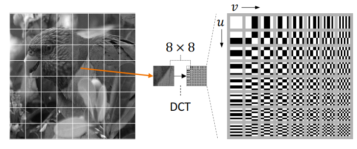 CVPR·2023·RGB no more: Minimally-decoded JPEG Vision Transformers - 知乎