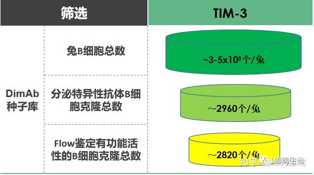 肿瘤免疫靶点 | TIM-3 - 知乎