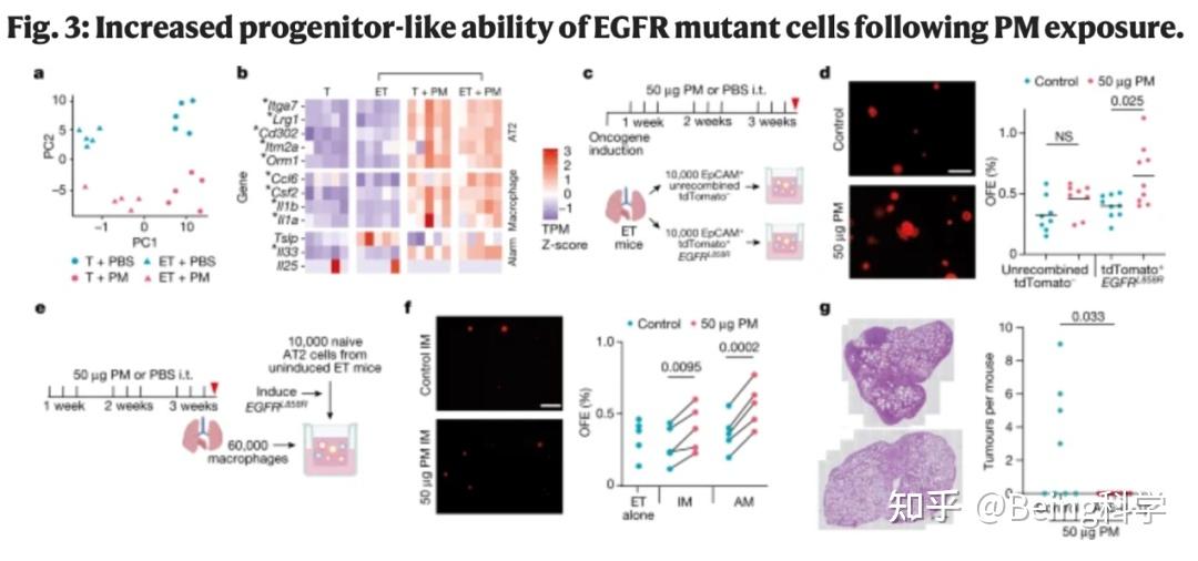 Nature证实：PM2.5空气污染物会促进肺癌的发生！ - 知乎