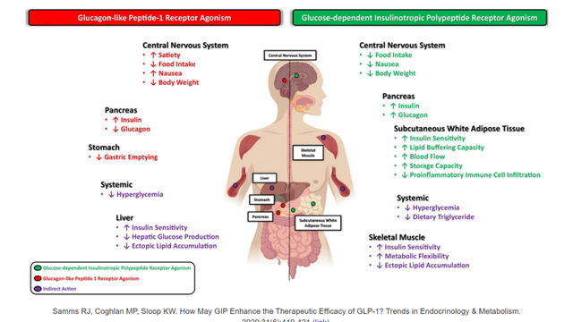 礼来、诺和诺德正面对决，GLP-1竞争白热化 - 知乎