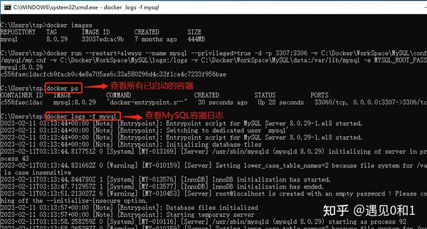 Docker中安装mysql 8 知乎