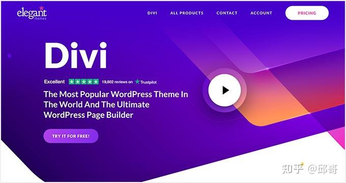 2022 年最受欢迎和最佳 WordPress 主题（专家精选） - 知乎