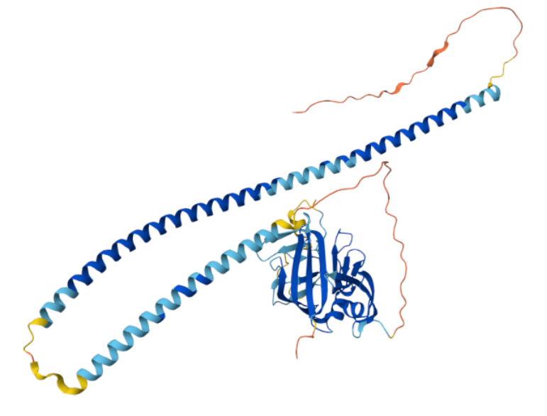 从单抗到siRNA：ANGPTL3靶点重塑降脂疗法格局 - 知乎