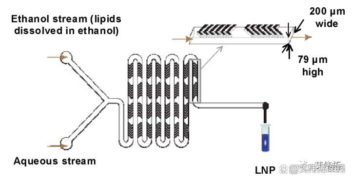 LNP制备方法——微流控技术 - 知乎