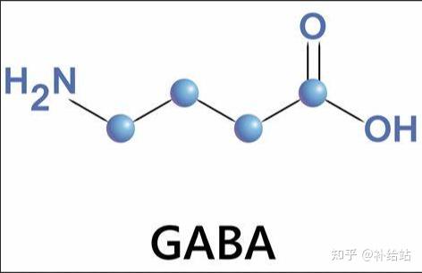什么是GABA?它有什么好处呢 - 知乎