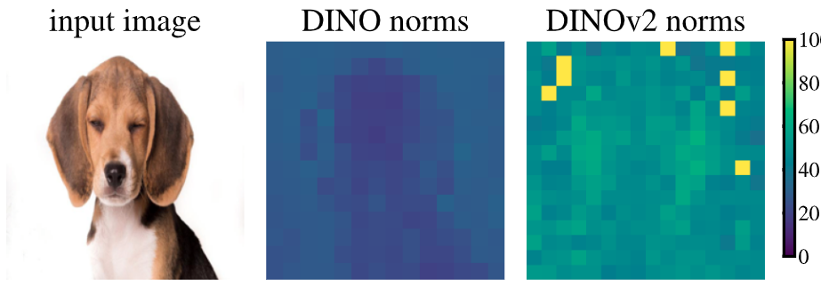 通用 Vision Backbone 超详细解读 (二十九)：视觉 Transformer 需要寄存器 - 知乎