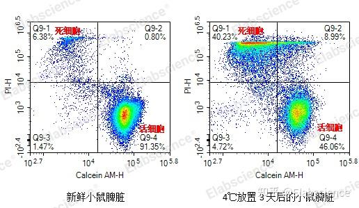 流式课堂 | 用Calcein AM/PI流式大法，测下你买的过年肉是否新鲜？ - 知乎