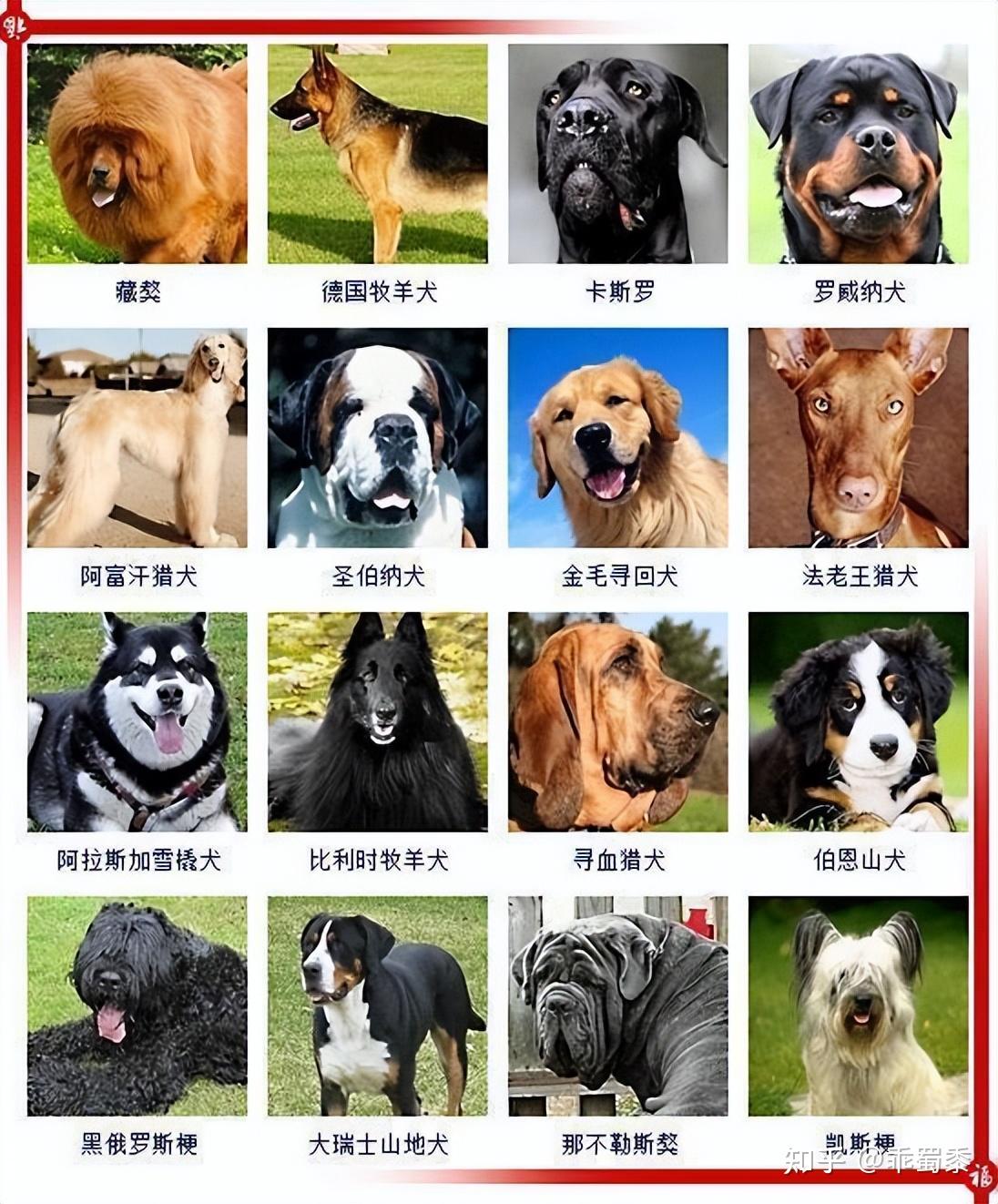 50种动物的进化史|也是我们的反思史 - 知乎