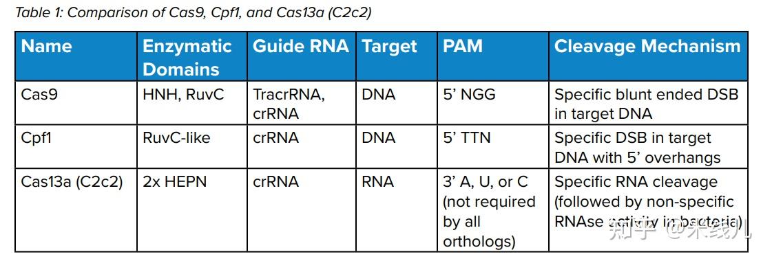靶向RNA的Cas13A (C2c2) - 知乎
