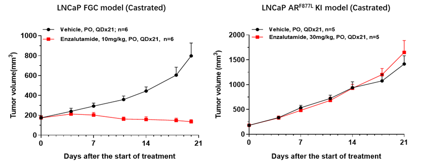 OncoWuXi速递|恩杂鲁胺耐药的LNCaP前列腺癌肿瘤模型 - 知乎