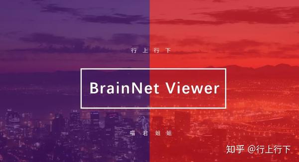 BrainNet Viewer:人类大脑连接的网络可视化工具 - 知乎