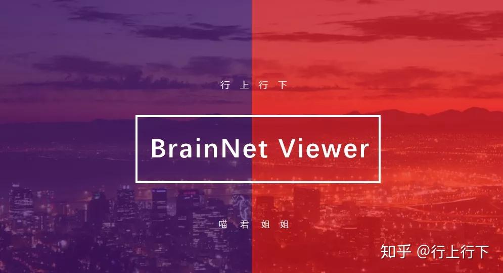 BrainNet Viewer:人类大脑连接的网络可视化工具 - 知乎