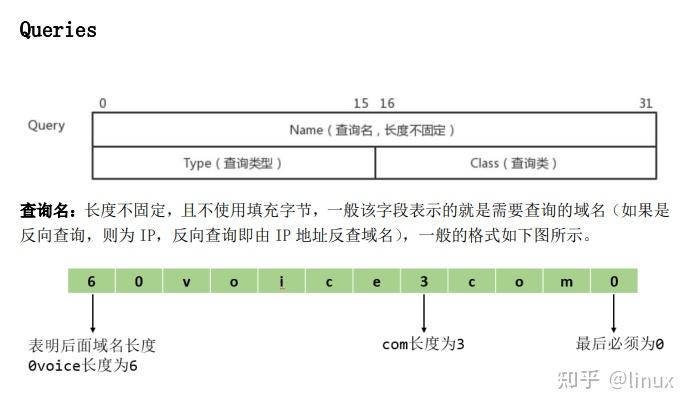 Linux C/C++开发：DNS协议与请求的实现 - 知乎