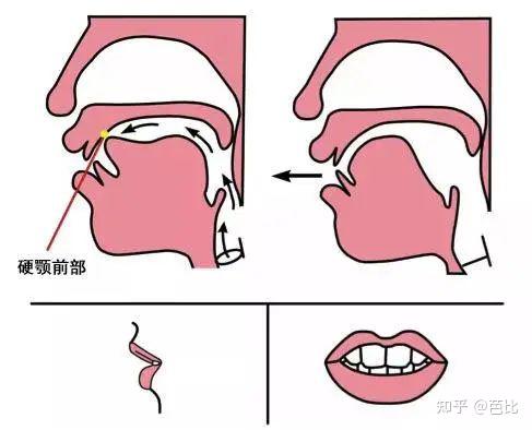 你会区分平翘舌了吗？？？ - 知乎