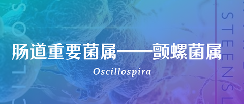 肠道核心菌——戴阿利斯特杆菌属 （Dialister） - 知乎