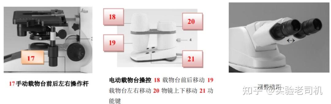 手把手教学——Leica DM6B正置双目生物显微镜操作步骤 - 知乎