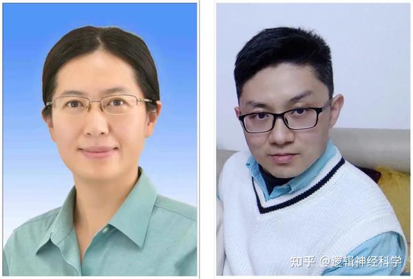 专家点评 iScience︱中国科学院生物物理研究所李岩团队揭示家族性癫痫分子机制 - 知乎