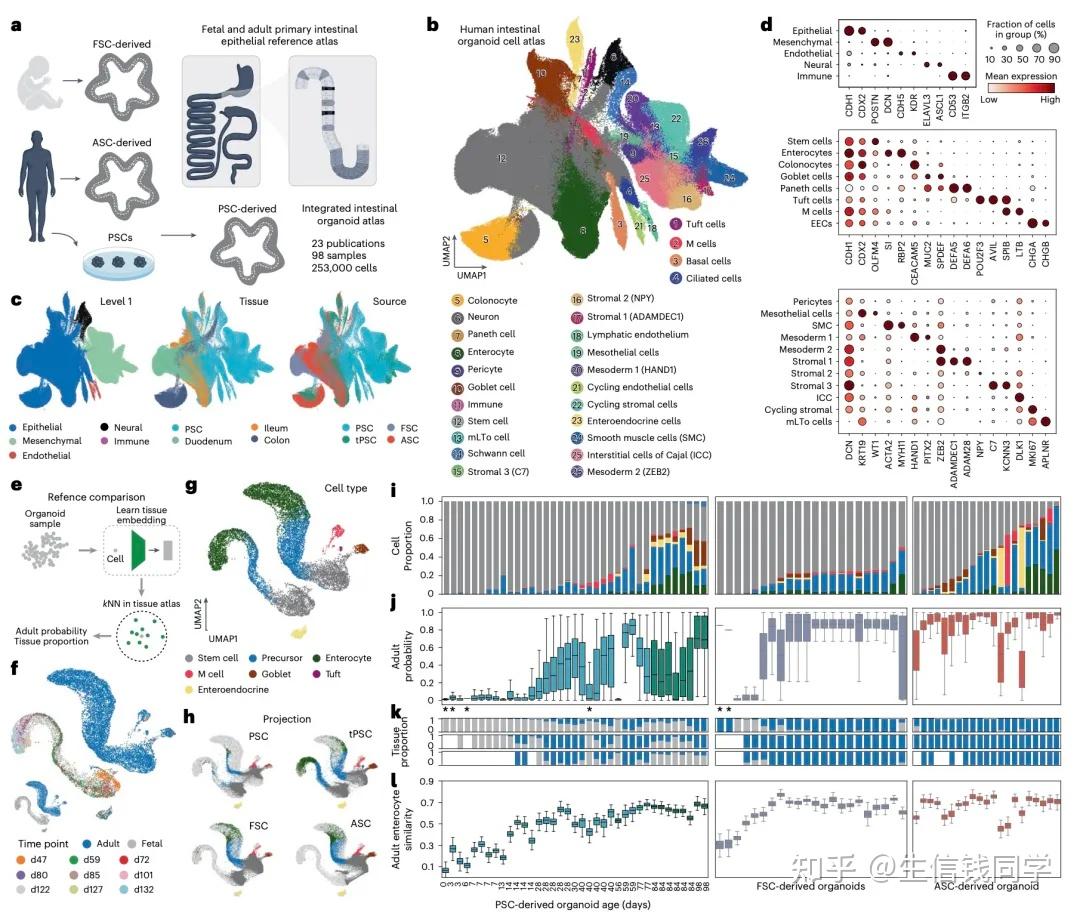 这个国外团队真强，才几个月一篇Nature，一篇Nat Genet，单细胞整合，套路几乎一样 - 知乎