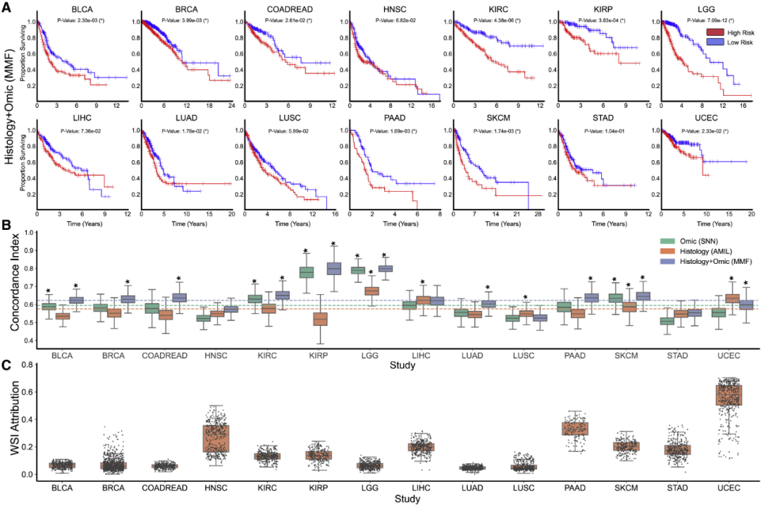 Cancer Cell | 深度学习AI整合组织学和多组学等诊断多种癌症 - 知乎