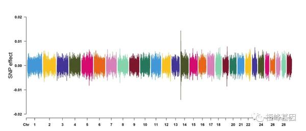 DNA 12. SCI 文章绘图之全基因组关联分析可视化(GWAS) - 知乎