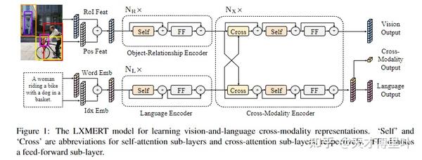 图文结合-LXMERT - 知乎