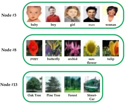Tree-CNN：一招解决深度学习中的「灾难性遗忘」 - 知乎