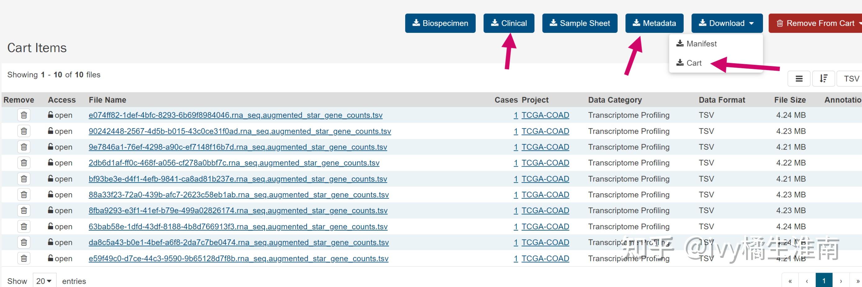 2022年GDC在线下载及用R语言整理TCGA基因表达数据 - 知乎