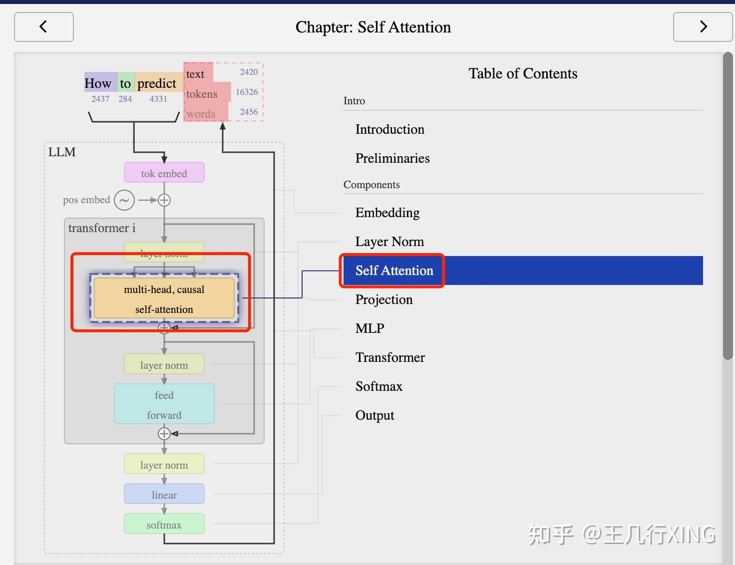 首发：GPT 可视化神器 LLM Visualization 解读 - 知乎