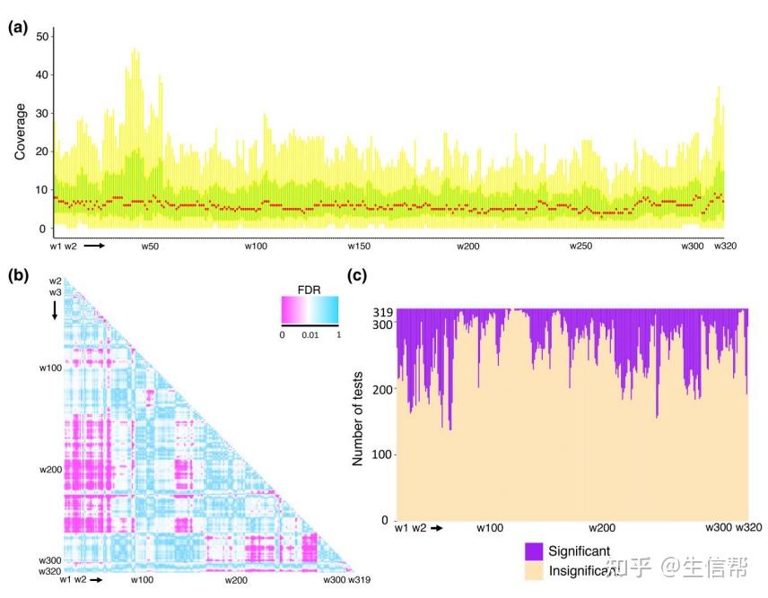 MBE｜比较基因组微合成揭示了哺乳动物中核线粒体片段（NUMTs）的快速进化(详细解读) - 知乎