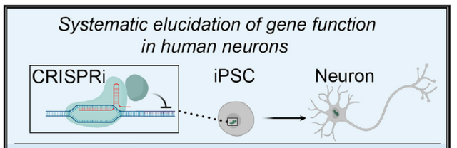 逐典分享丨iPSC商业简史：年轻赛道正在缔造医学神话 - 知乎