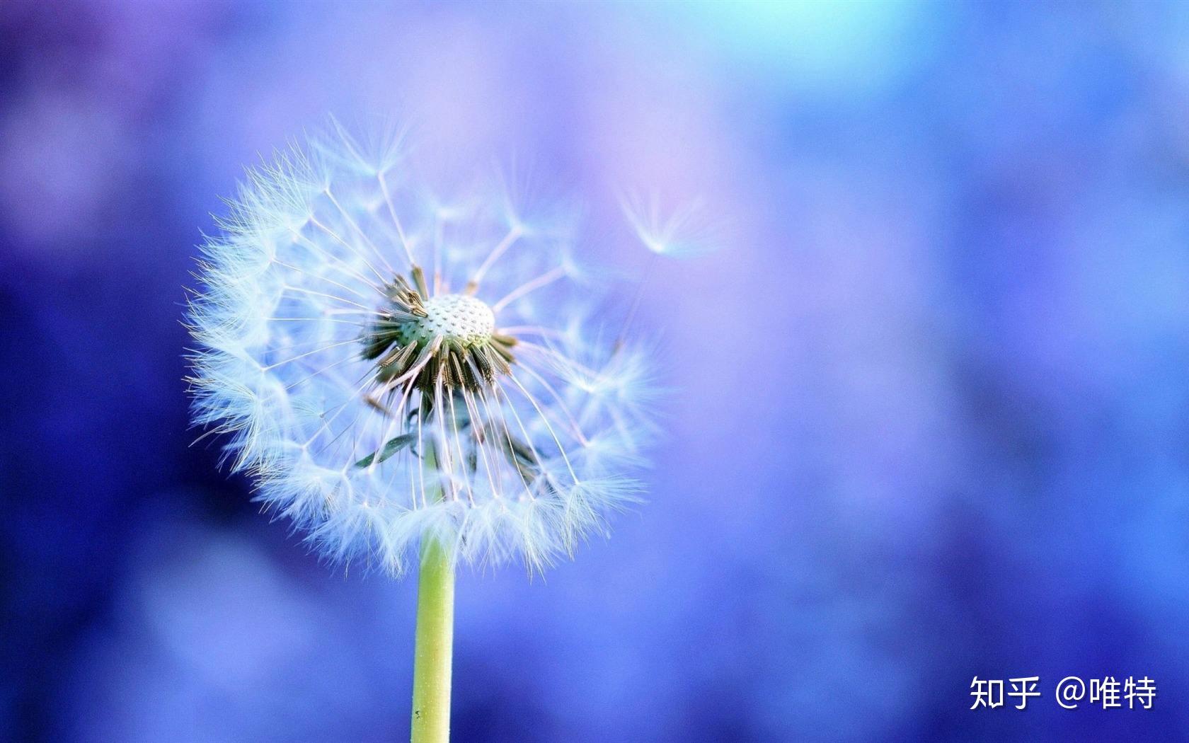 MBA与EMBA、FMBA、IMBA的区别在哪里？ - 知乎