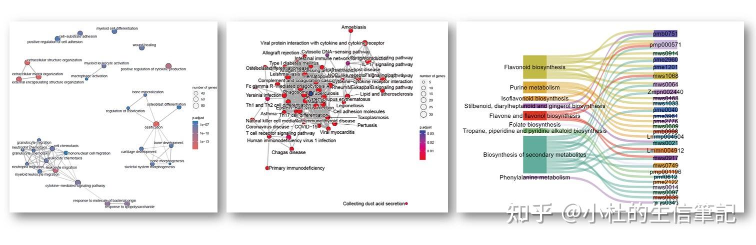 hdWGCNA | 单细胞(scRNA)和空间转录组共表达网络分析 - 知乎