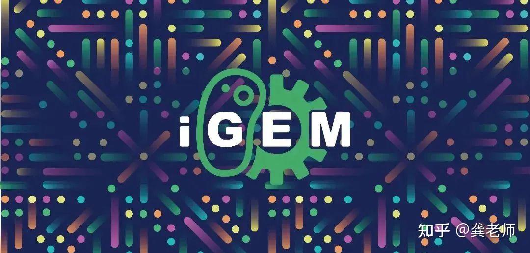 背提如何摆脱同质化？iGEM来助力—注重学术，但不止学术！ - 知乎