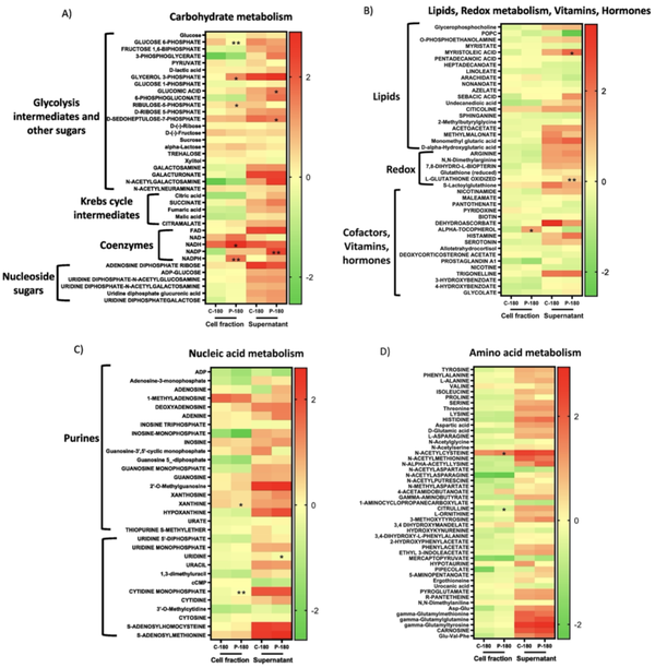 BBA丨中性粒细胞NETs与细胞代谢的关系 - 知乎