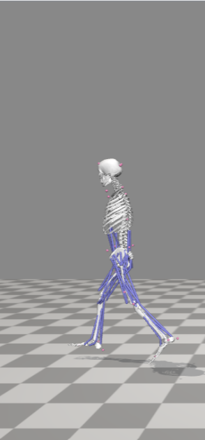 opensim深入教学 - 知乎